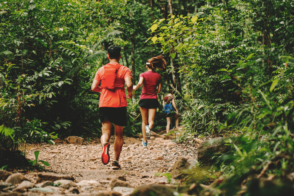 Beginner's guide to trail running - Lepape